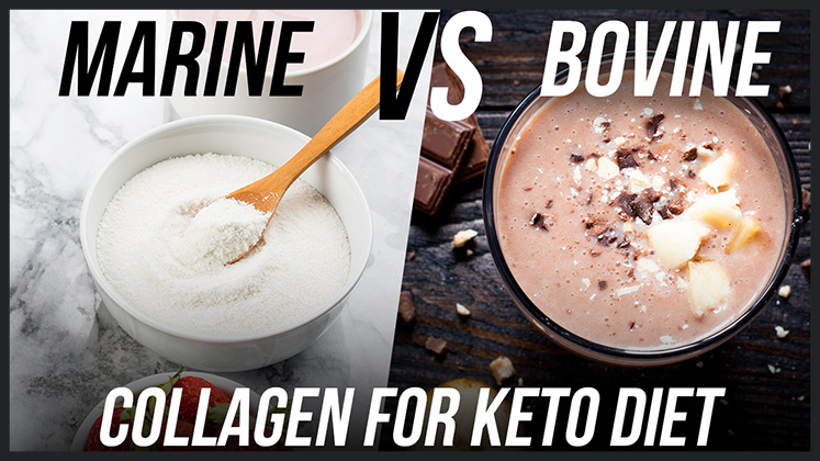 Marine vs Bovine Collagen For Keto Diet – Which is better for you?
